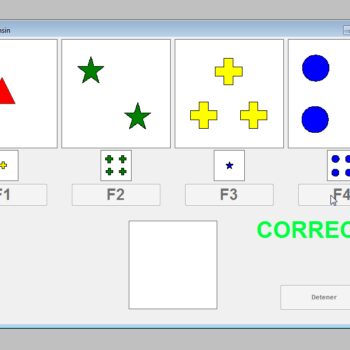 Test de Clasificación de Cartas de Wisconsin (WCST)