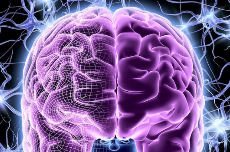 Test Neuropsicológicos archivos - PsicoTest