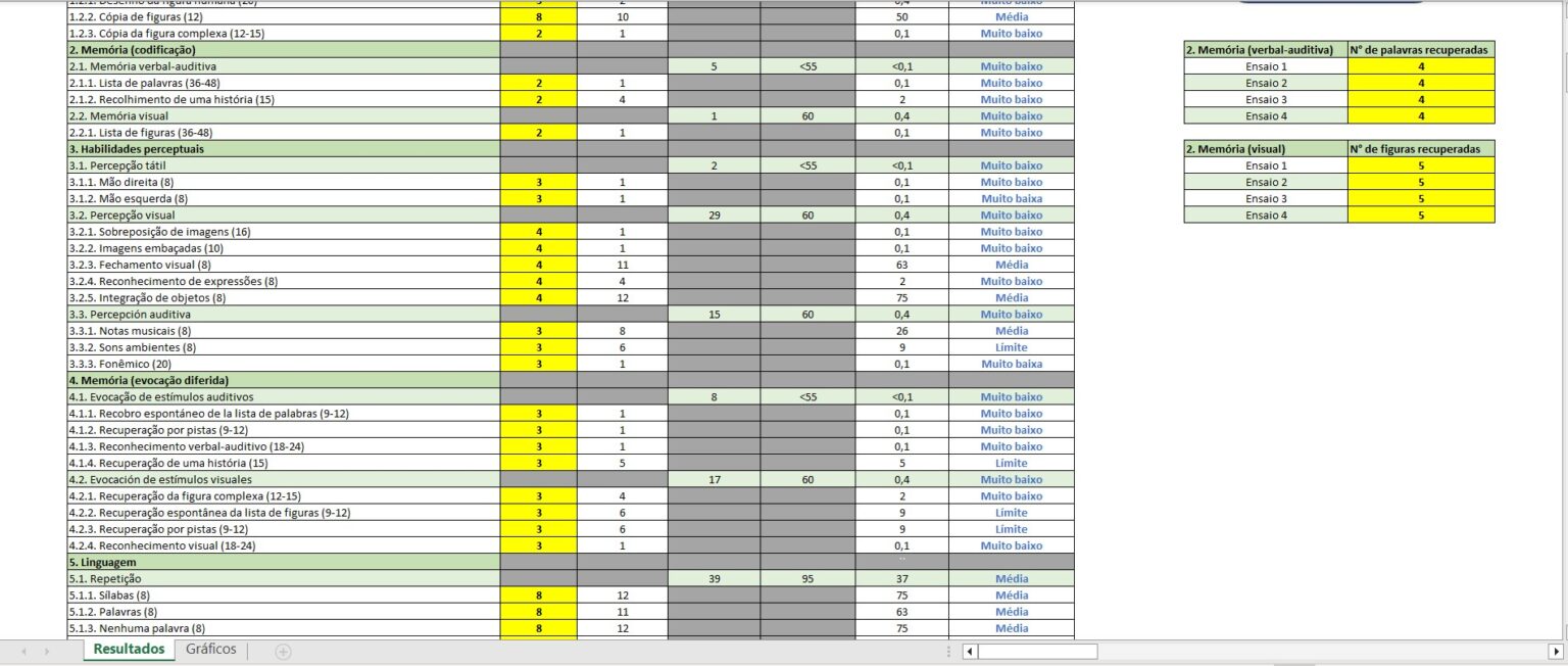 CORRETOR ENI-2 Avaliação Neuropsicológica Infantil